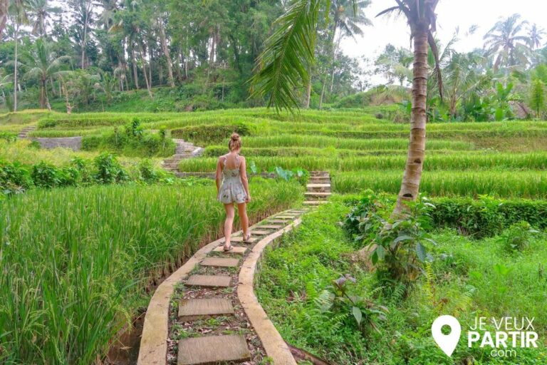 Les 7 plus belles rizières de Bali à explorer absolument